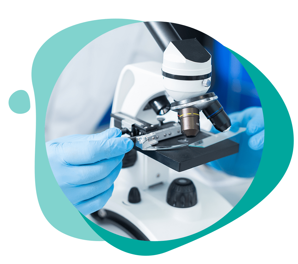 MOBILE LAB SERVICES – Babysteps couriers